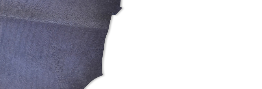 Economy Leather skins – Pittards Store