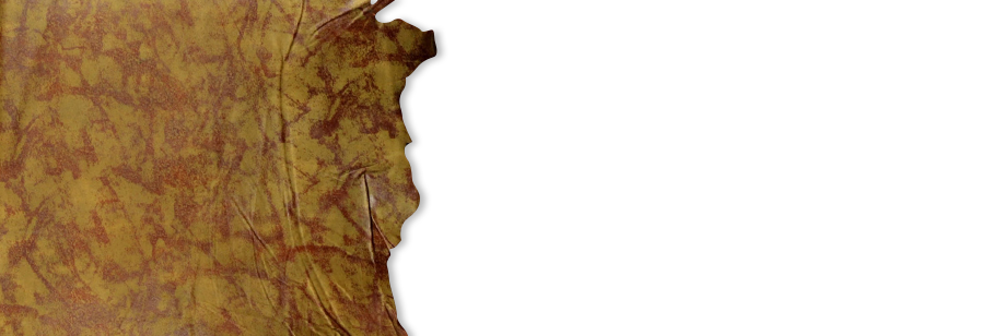 Printed Leather Skins – Pittards Store